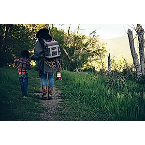 Barebones Bronze Forest Lantern - Vintage, Rechargeable, Adjustable Brightness (Red)