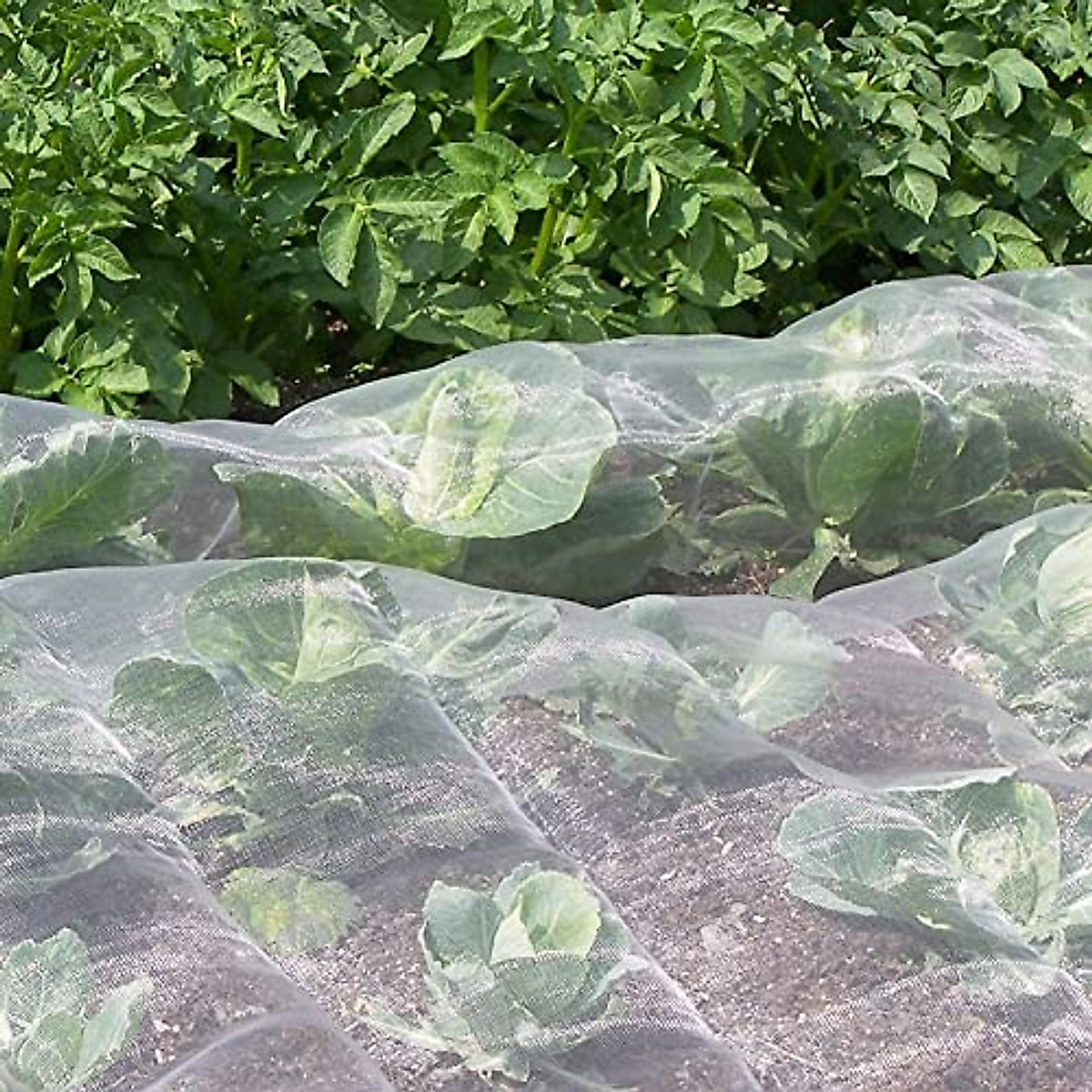 GonLei Garden Netting 10 * 50 FT Ultra Fine Garden Mesh Netting Protection Net Plant Cover Screen Vegetable Row Cover,Blueberry Netting Shrubs Fruits Tree Flowers Garden Screen Barrier Net