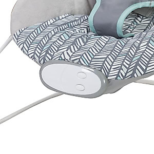 Smart Steps EZ Bouncer, Ziggy