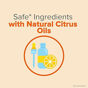 Citrus Magic Natural Odor Eliminator Air Freshener Spray for Home, Orange Blast, 3-Ounce, Pack of 3