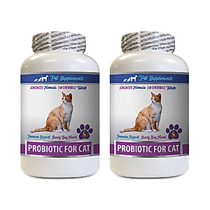 PET SUPPLEMENTS cat Allergy Relief - CAT PROBIOTICS - Immune Support - Savory Beef Flavor - Natural Formula - cat probiotics for - 2 Bottles (120 Treats)