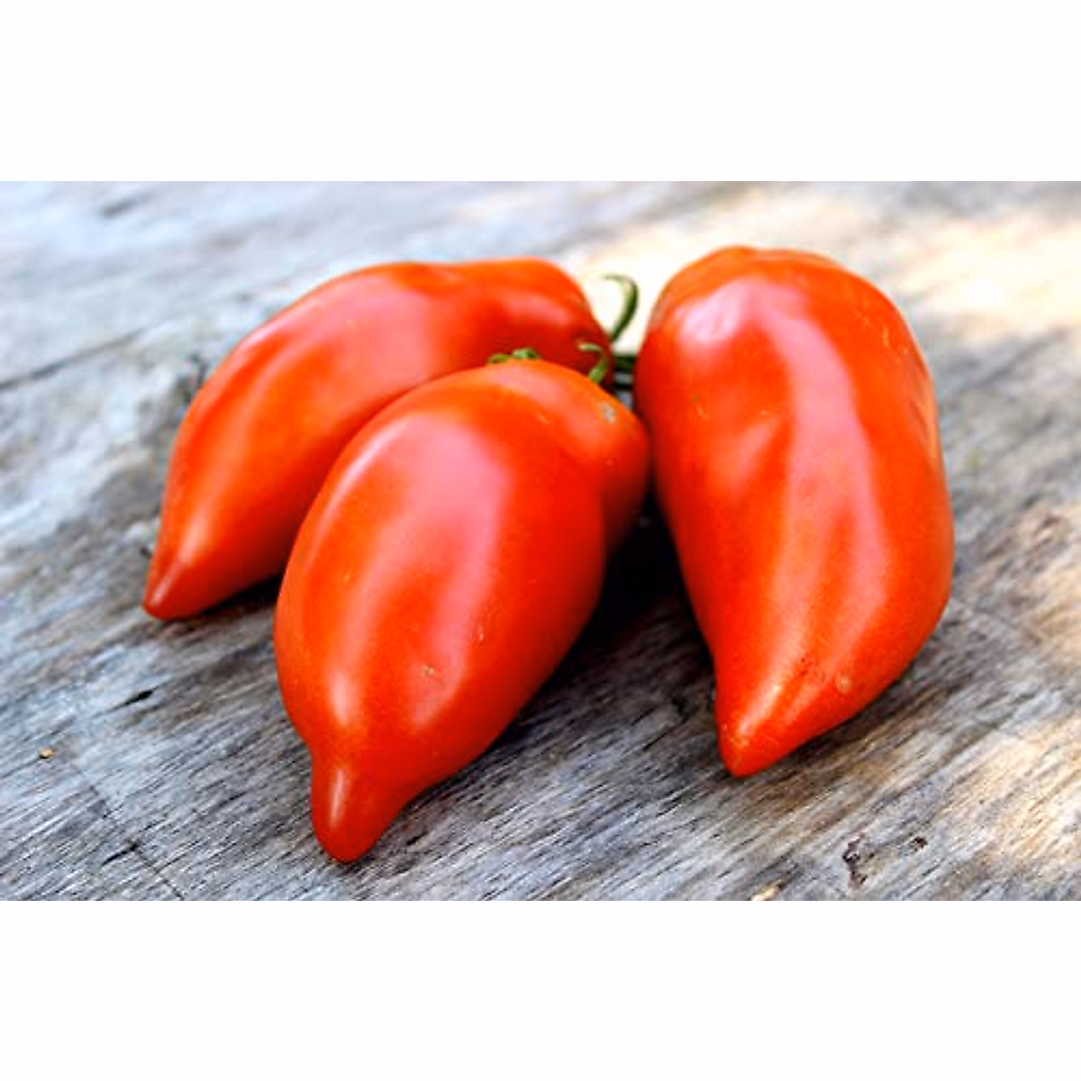 Unique Pepper-Look Tomato Vegetable Garden Seeds for Planting About 40 Seeds