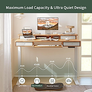 FEZIBO Height Adjustable Electric Standing Desk with 4 Drawers and Keyboard Tray, 48 x 24 Inch Table with Storage Shelf, Sit Stand Desk with Splice Board, LightRustic Brown