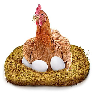 SunGrow Coconut Husk Fiber Bird Nesting Material for Mourning Dove, Straw Nest for Diamond Dove Bird House, Pet Bird Cage and Small Animals Bedding , Suitable For Hamster, Gerbils, Chinchillas, 3 oz