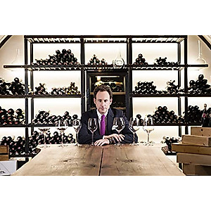 Riedel Extreme Martini Glass, Set of 2, Clear, 8.82 fluid ounces