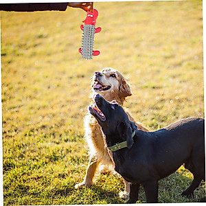 SUPVOX Pet Latex Toys Puppy Teeth Cleaning Toy Dog Biting Toy Puppy Chewing Toy Dog Plaything Puppy Toy Latex Pet Toy Puppy Biting Toy Dog Chewing Toy Dog Molar Plaything