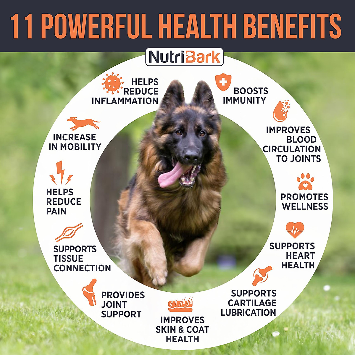 Senior Dog Joint Supplement -1000mg Glucosamine for Dogs -Advanced Hip & Joint Support Chews w/Glucosamine, Chondroitin, MSM, Turmeric & Omega 3 for Pain & Inflammation Relief, Improved Mobility