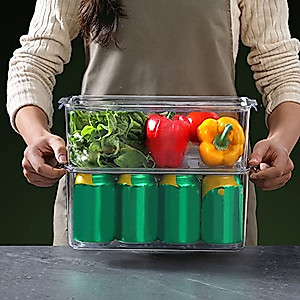 HOLPPO Pantry Storage Bin,Durable Plastic Pantry Storage Container,with Lid Large Capacity Transparent Food Grade Portable Durable Multifunction Pantry Containers(12.1in-Transparent)