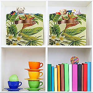Gougeta Foldable Storage Basket with Handle, Tropical Exotic Plumeria and Palm Leaves Rectangular Canvas Organizer Bins for Home Office Closet Clothes Toys 2 Pack