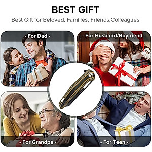 SHIELDON Boa Pocket Knife 3.82" Tanto Titanium Coating D2 Blade G10 Handle Thumb Hole Flipper Open Folding Knife with Pocket Clip for Outdoor Daily Carry