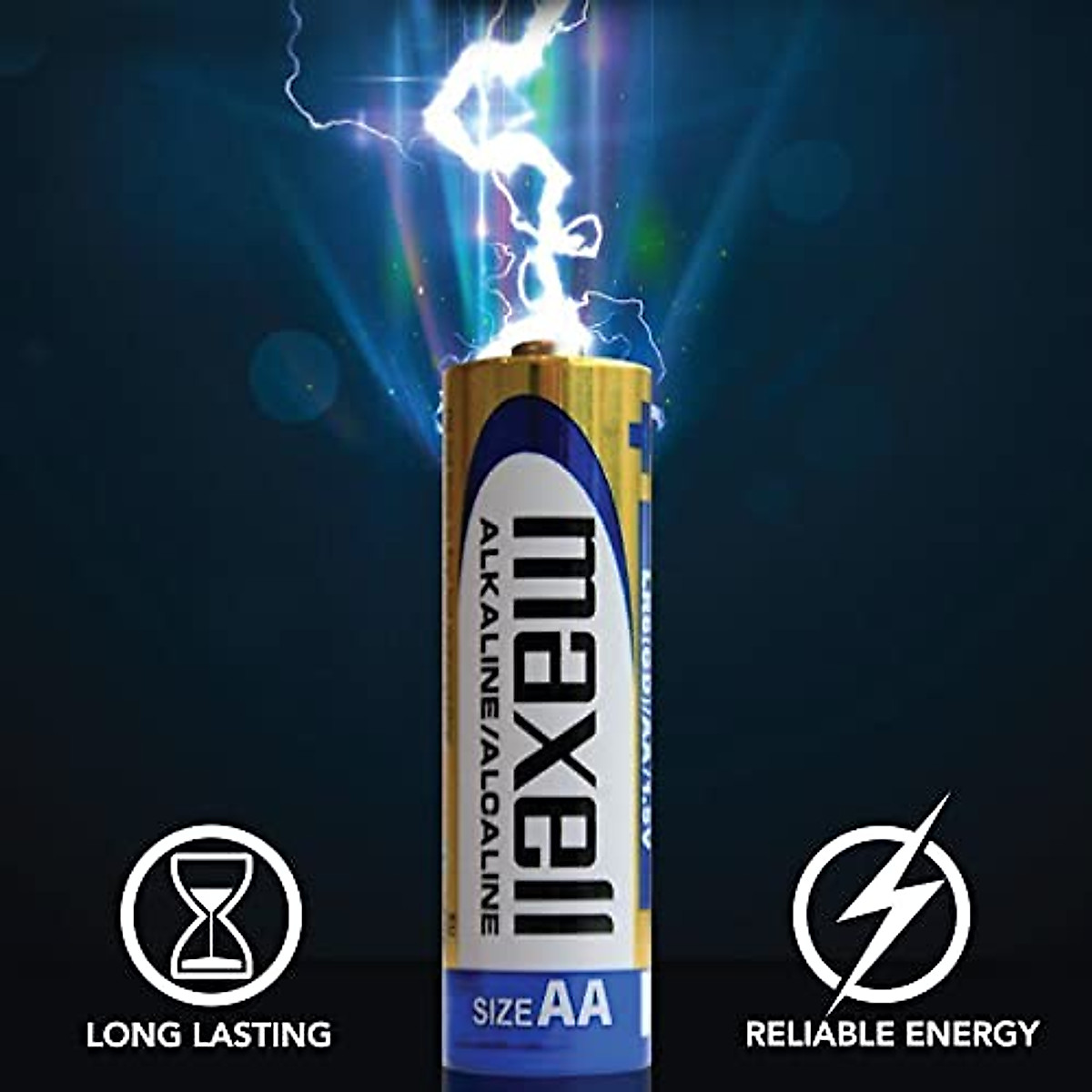 Maxell 48 AA General Purpose Alkaline Batteries