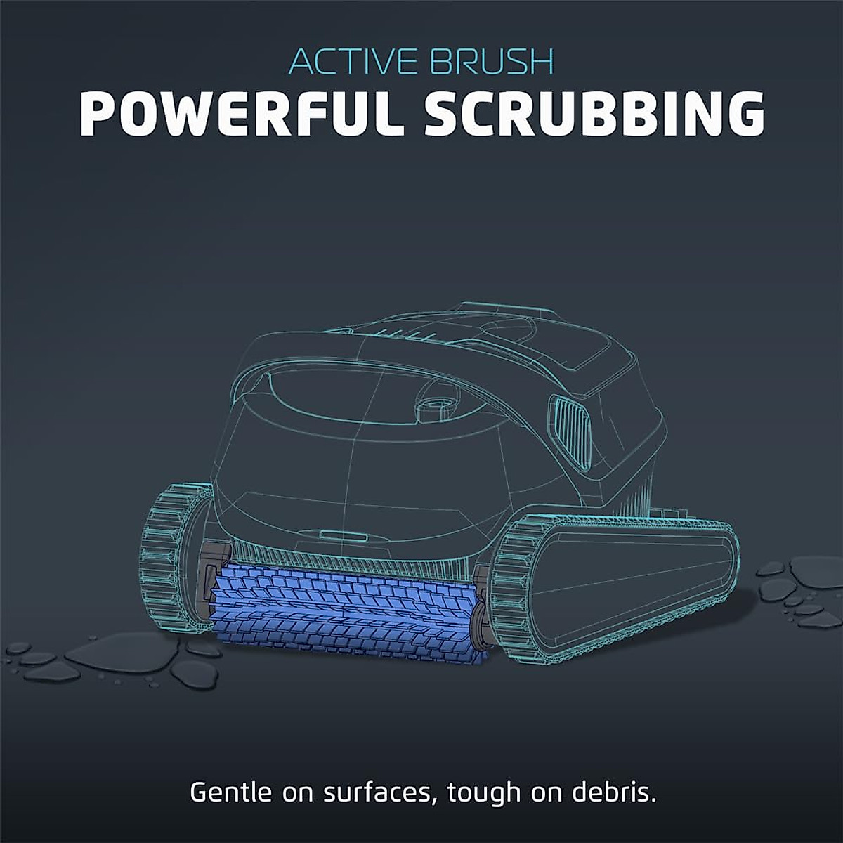 Dolphin Genuine Replacement Part — Active Blue Brush Kit — 9995545-ASSY