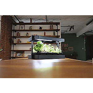 SunBlaster LED Indoor Growlight Garden, Home Growing Kit