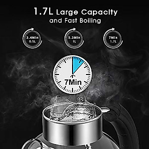 ASCOT Electric Kettle, 100% BPA-Free Glass Electric Tea Kettle, 1.6L 1500W Retro Tea Heater & Hot Water Boiler, No Plastic, with Auto Shut-Off and Boil-Dry Protection (Silver)