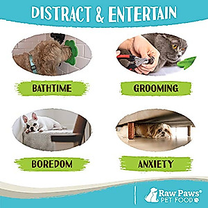Raw Paws Lick Pad Mat for Dogs & Cats, 2-ct - Boredom Busters for Dogs in Shower, Floor & Wall - Licking Mat for Dogs - Dog Distraction Mat - Dog Slow Feeder Mat - Interactive Mat for Calming Anxiety