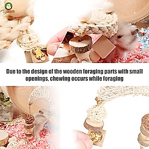 Wepets Hamster Toys, for Hamster, Gerbils, Mice, Rats and Other Small Animals to Chew and Play with, Induce Them to Grind Their Teeth, Reduce Depression. (Pattern-C)