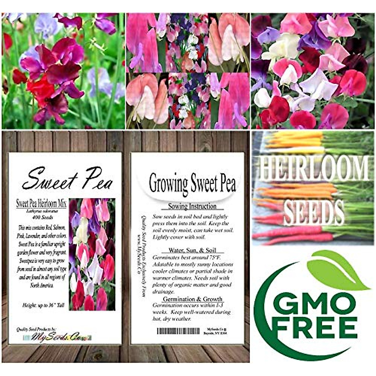 Big Pack - Sweet Pea Sweetpea Flower Seed (400+) Lathyrus odoratus Flower Seeds - Heirloom Mix Very Fragrant Blooms - Red Salmon Pink Lavender - Non-GMO Flower Seeds By MySeeds.Co (Big Pack Sweet Pea)