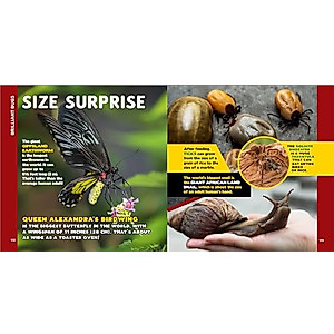 The Fascinating Bug Book for Kids: 500 Startling Facts! (Fascinating Facts)