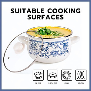 Bird of Paradise Vintage Enamel Belly Deep Stock Pot with Glass Lid Deep Cooking Pot, Dishwasher safe (Set of 2 (3.8 L); (6.2 L))