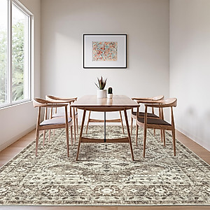 Rugland Area Rug - Stain Resistant Washable Rug, Anti Slip Backing Rugs for Living Room, Vintage Tribal Area Rugs (TPR07-Ivory, 9'x12')