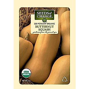 Seeds of Change 1069 Butternut Squash, Yellow