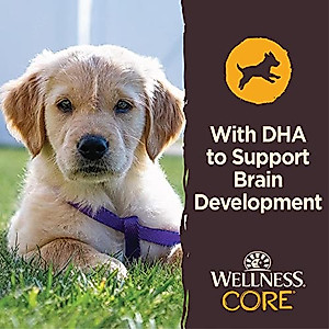 Wellness CORE Brainiac Puppy Soft Training Dog Treats (Previously Puppy Bites), Grain Free, Beef & Turkey, 5 Ounce Bag