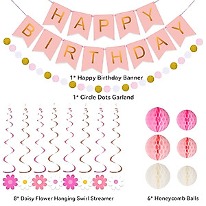 meowtastic Pink Birthday Decorations - Pink Happy Birthday Banner with Honeycomb Ball, Daisy Flower Hanging Swirl Streamer, Circle Dot Garland Decoration - Birthday Party Decoration for Women Girls