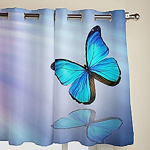 Big buy store Blackout Curtains Panels Blue Butterfly Thermal Insulated Grommet Window Curtains Insect Nature Room Darkening Curtain Drapes for Bedroom & Living Room 52inches W x 96inches L