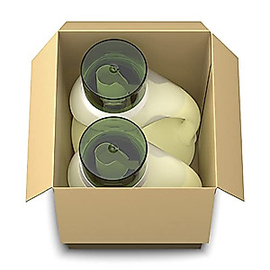 Gain Botanicals Plant Based Laundry Detergent, Orange Blossom Vanilla, 46 fl oz 32 loads, HE Compatible, Pack of 2