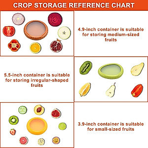 Silicone Fruit Storage Box | Set of 4 Reusable Silicone Fruit & Vegetable Storage Containers | Avocado Saver, Tomato Holder, Onion, Garlic & Lemon Keepers for Fridge - Ideal Kitchen Organizers