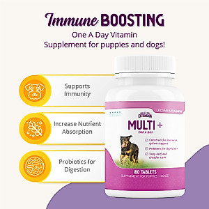 Health Extension Lifetime Multivitamin and Mineral Tablets for Dogs & Puppies, 30 Tablets - Immune, Digestion, Joint Support, Coat & Skin Health