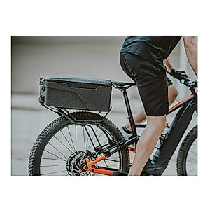 Topeak E-Xplorer TrunkBox