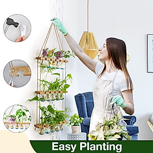 XXXFLOWER Wall Hanging Propagation Station with Wooden Stand 5 Bulb Vase 3 Tiered Planters Wall Terrarium for Home Office Plant Hanger Flower Vases Wall Decor