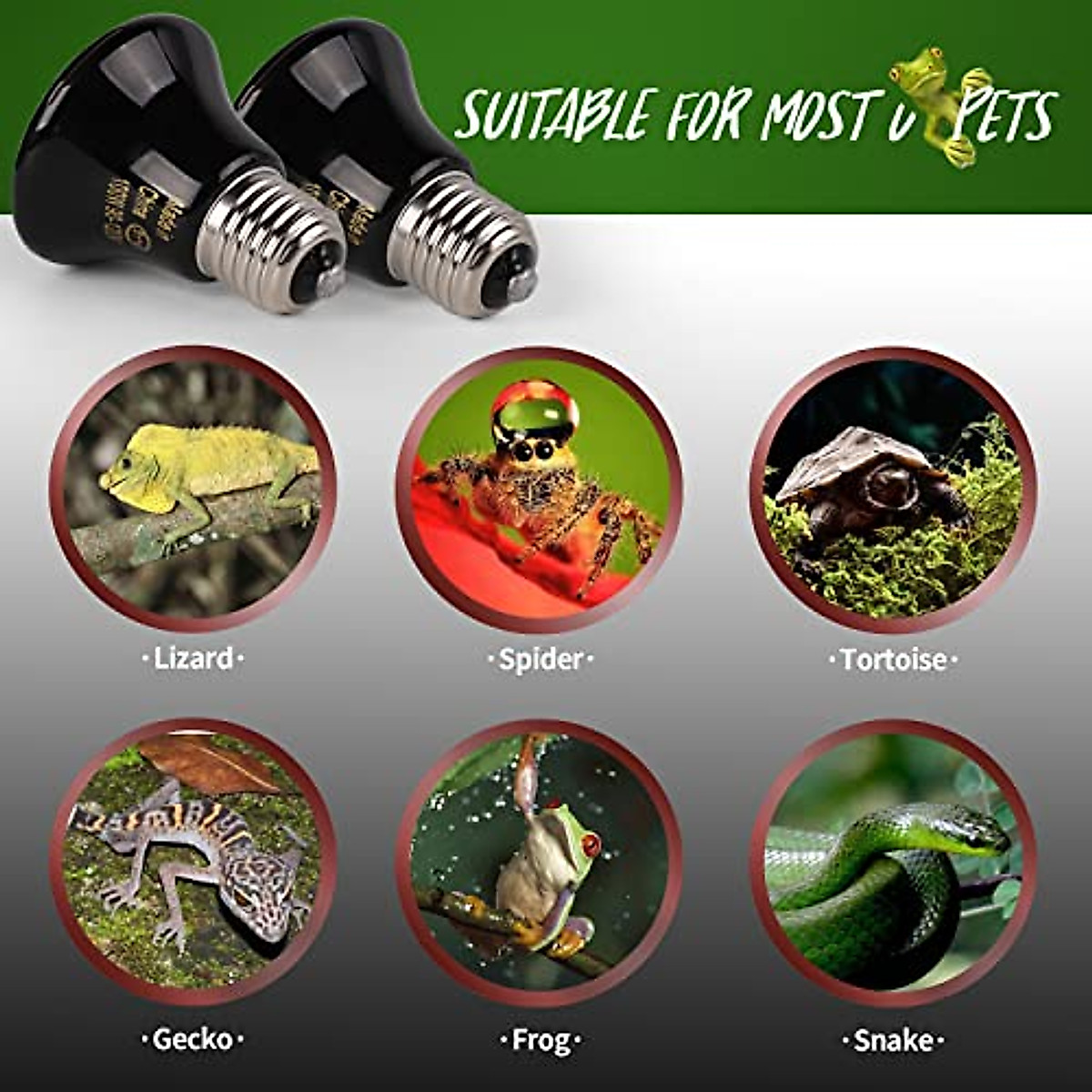 FIVEAGE 50W 4 Pack Mini Ceramic Heat Emitter Reptile Heat Lamp Bulb, No Harm No Light Emitting,Brooder Coop Heater Pet Heater for Reptile Amphibian