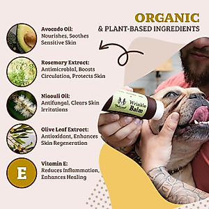 Natural Dog Company Wrinkle Balm, Travel Stick, 0.15 oz, Dog Lotion for Dry Itchy Skin, Cleans Wrinkles, Yeast Infection Treatment for Dogs, Plant Based, Frenchie Dog Accessories, Made in USA