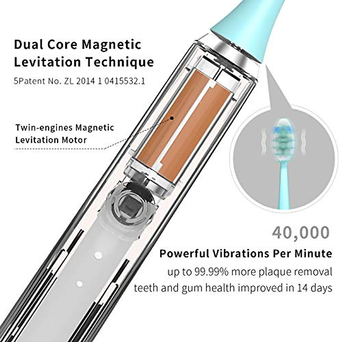 YUNCHI Sonic Electric Toothbrush for Adults & Kids, Y7 Rechargeable Toothbrushes, 10 Dupont Brush Heads, 5 Modes Fast Charge for 30 Days, 40,000 VPM Motor & 2 Mins Timer Tooth Brush, Green