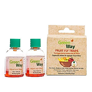 Greenway Traps Fruit Fly Trap (24 Traps) - Indoor and Kitchen Fruit Fly Trap - Eliminates Fruit Fly Infestations - Eliminate Adult Fruit Flies