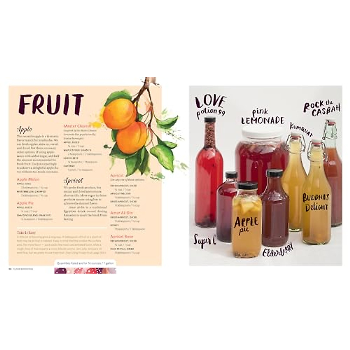 The Big Book of Kombucha: Brewing, Flavoring, and Enjoying the Health Benefits of Fermented Tea