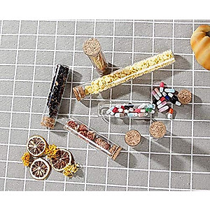 10PCS Empty Glass Clear Test Tube Message Bottles Vials Jars Packing Container with Wood Cork Stoppers for Scientific Experiments Tea Powder Liquid Storage Dispenser(40ml-30mmx80mm)