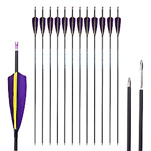 800 Spine Arrow 30 Inch Arrow Target Practice Arrow Hunting Arrow Carbon Arrows Compound Bow Recurve Bow Adult Youth Archery Indoor Outdoor Shooting Bullet Tip 12pc Purple