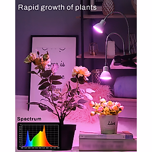 APLANT Grow Light for Indoor Plants, Desk Clip Plant Light with Cool White Red Blue LEDs,14W Flexible Dual Head Plant Lamp with Auto Timer 6/10/12H, Out of The Box Plant Grow Light for House Plants