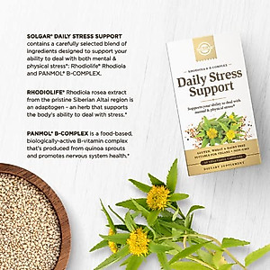 Solgar Daily Stress Support, 30 Vegetable Capsules – Build Resistance to Stress & Mental Fatigue – Support Ability to Stay Calm – Contains Clinically-Studied Rhodiola & B-Complex, Non-GMO, 30 servings