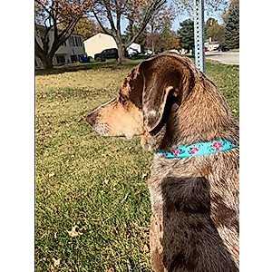 YUDOTE Floral Dog Collars Adjustable Nylon Collar with Quick Release Buckle for Female & Male Dogs, Green,Large