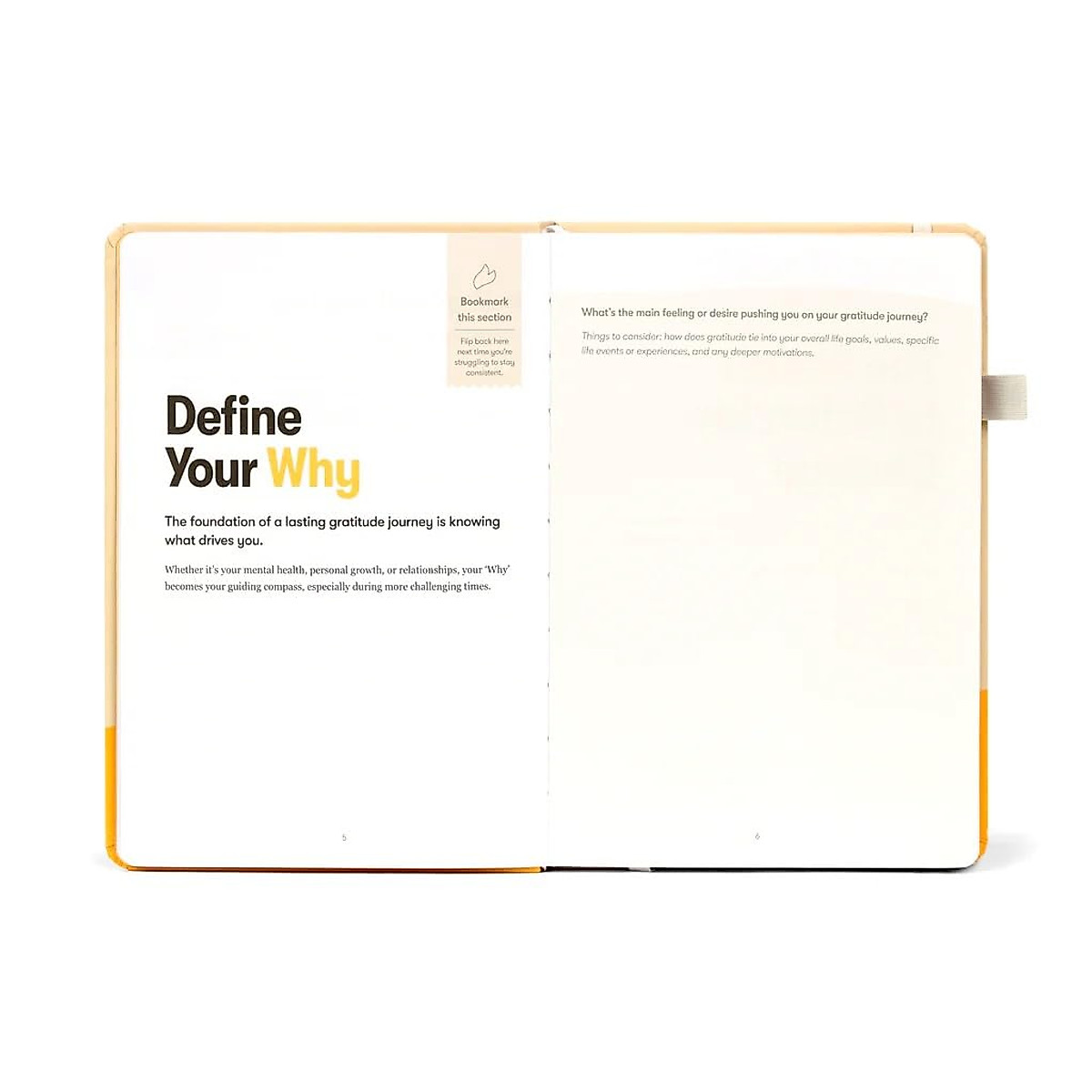 The Gratitude Sidekick Journal: A 66-Day Daily Gratitude & Mindfulness Journal for Developing A Habit of Gratitude & Postivity