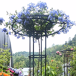 Vertical Metal Garden Trellis, Trellis for Climbing Plants, Flower Trellis, Umbrella Trellis, Garden Trellis Climbing Plants Support for Vines Tomatoes Peas Other Live Plants Support