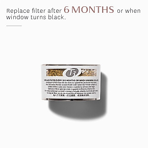 T3 Source Showerhead Replacement Water Filter