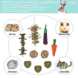 Cathpetic Perfect Rabbit Chew Toys - Guinea Pig Toys Natural Timothy Hay Chinchilla Toys, 100% Hand Made Rabbit Treats Apple and Wood Sweet Bamboo, Small Animal Chew Treat for Rodents Teeth Care