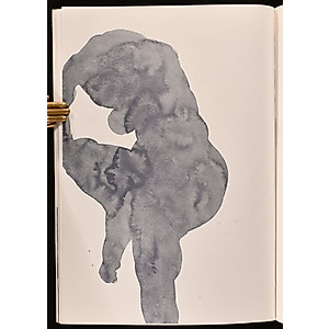 The garden of caresses;