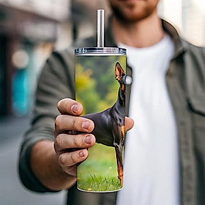 German Pinscher Dog Photo Skinny Tumbler 20oz with Straw Insulated Water Bottle Gift