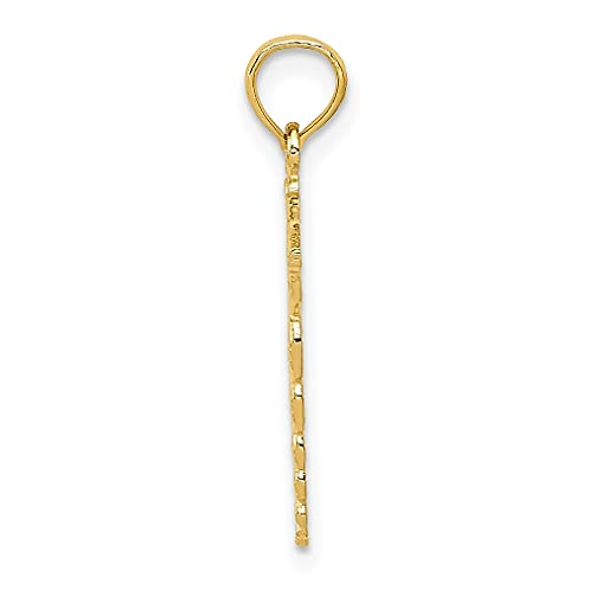 IceCarats 14K Yellow Gold Nurse Caduceus Paramedic Emt Doctor Medical Student Nursing Symbol Necklace Charm Pendant 23mm x 12.5mm Only